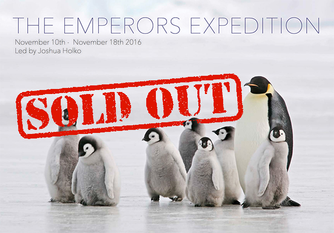 The Emperor Penguin Expedition 2016 – SOLD OUT – www ...