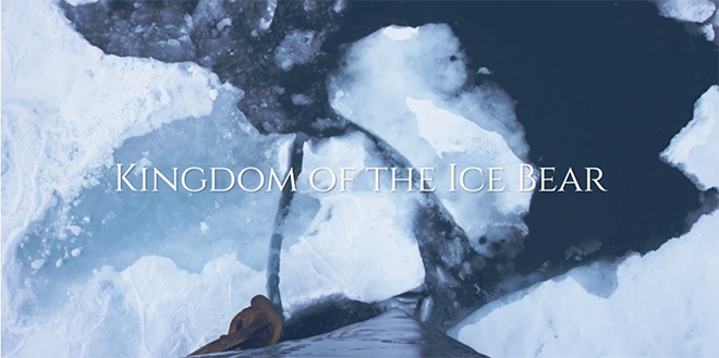 Kingdom of the Ice Bear Wins First Place Commercial / Illustrative Film ...