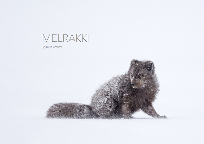 Melrakki – The Arctic Fox Limited Edition Book Now Available for Pre ...