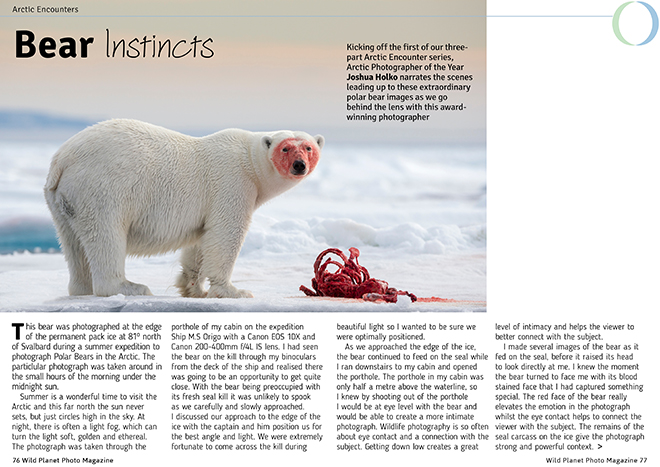 Wild Planet Photo Magazine Features Part One – Bear Instincts – www ...