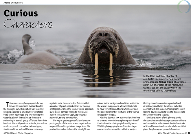 Wild Planet Photo Magazine Features Part Three – Curious Characters ...