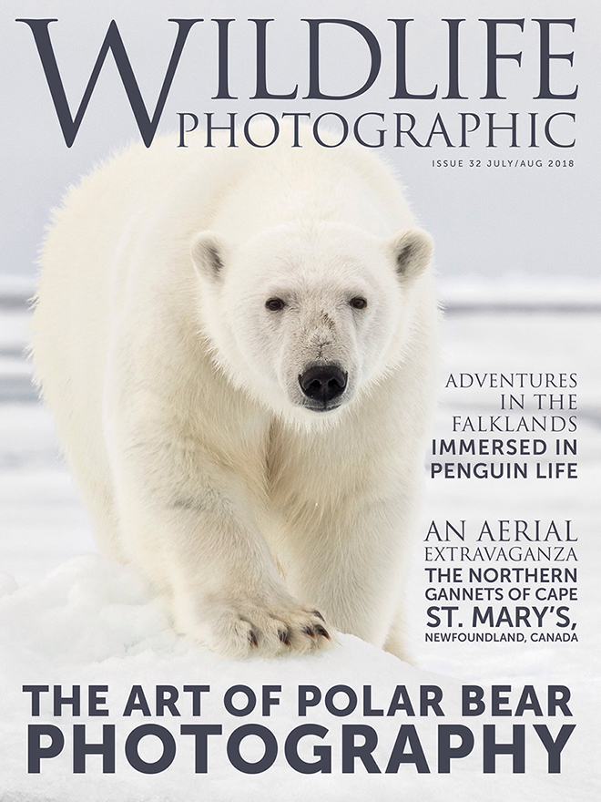 Wildlife Photographic Magazine Cover Shot and Feature Article July 2018 ...