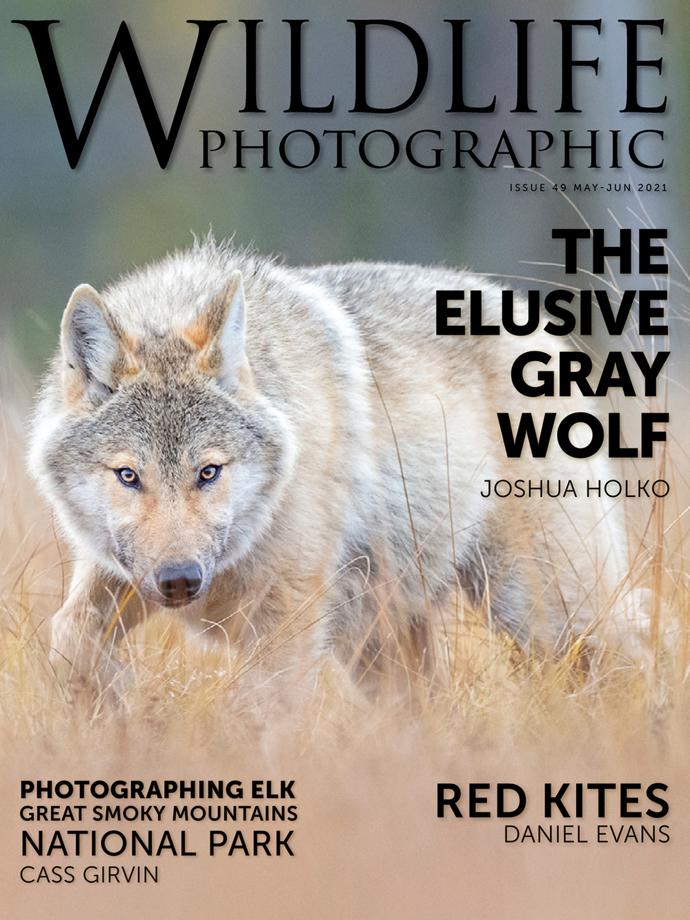 Wildlife Photographic Magazine Grey Wolf Cover Shot May / June 2021 ...