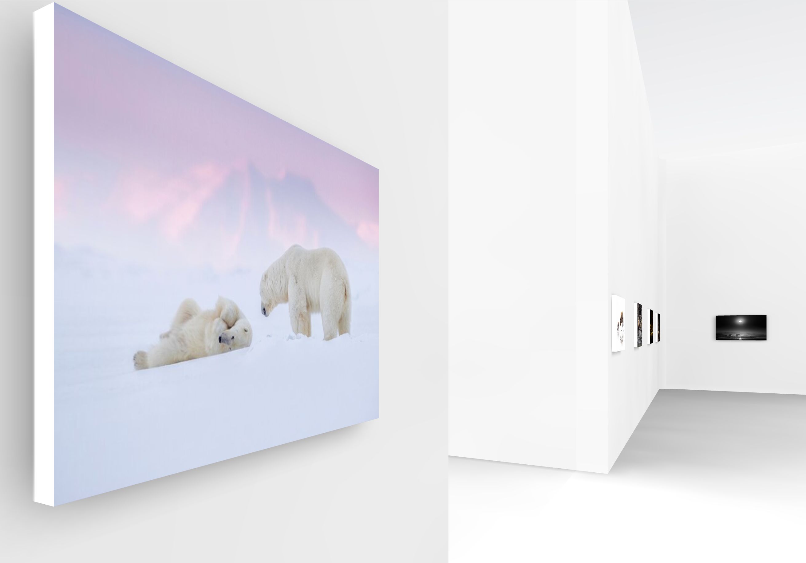 Remembering Bears Exhibition 2022 Now Live – www.WILDNATUREPHOTOTRAVEL.com