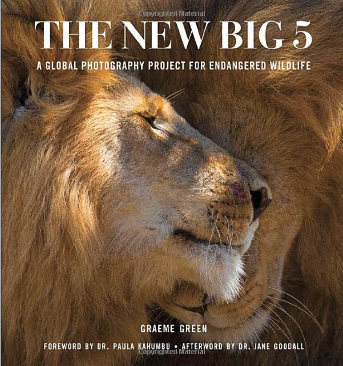 Featured Photographer – The New Big Five Book – www ...