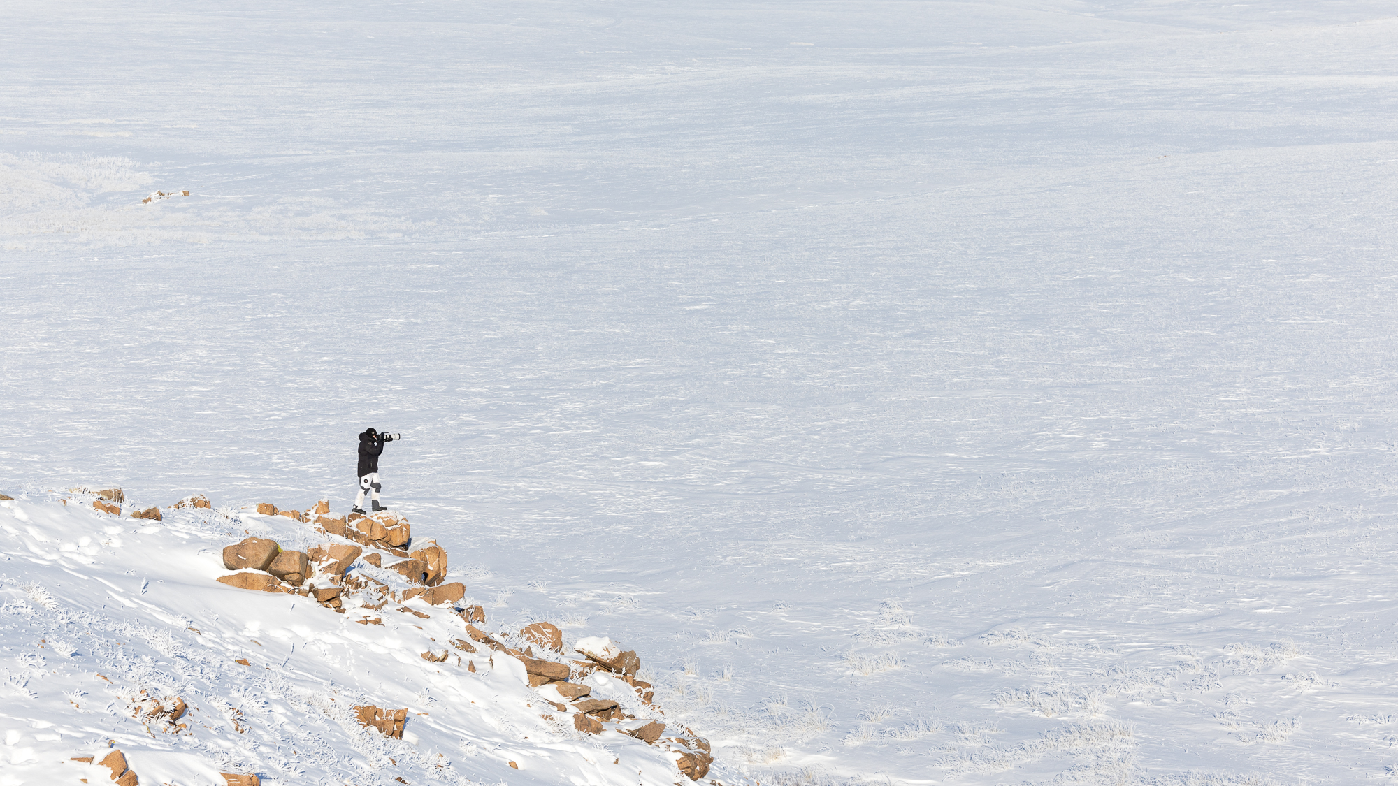 Mongolia Pallas Cat Expedition Report 2024 – www.WILDNATUREPHOTOTRAVEL.com