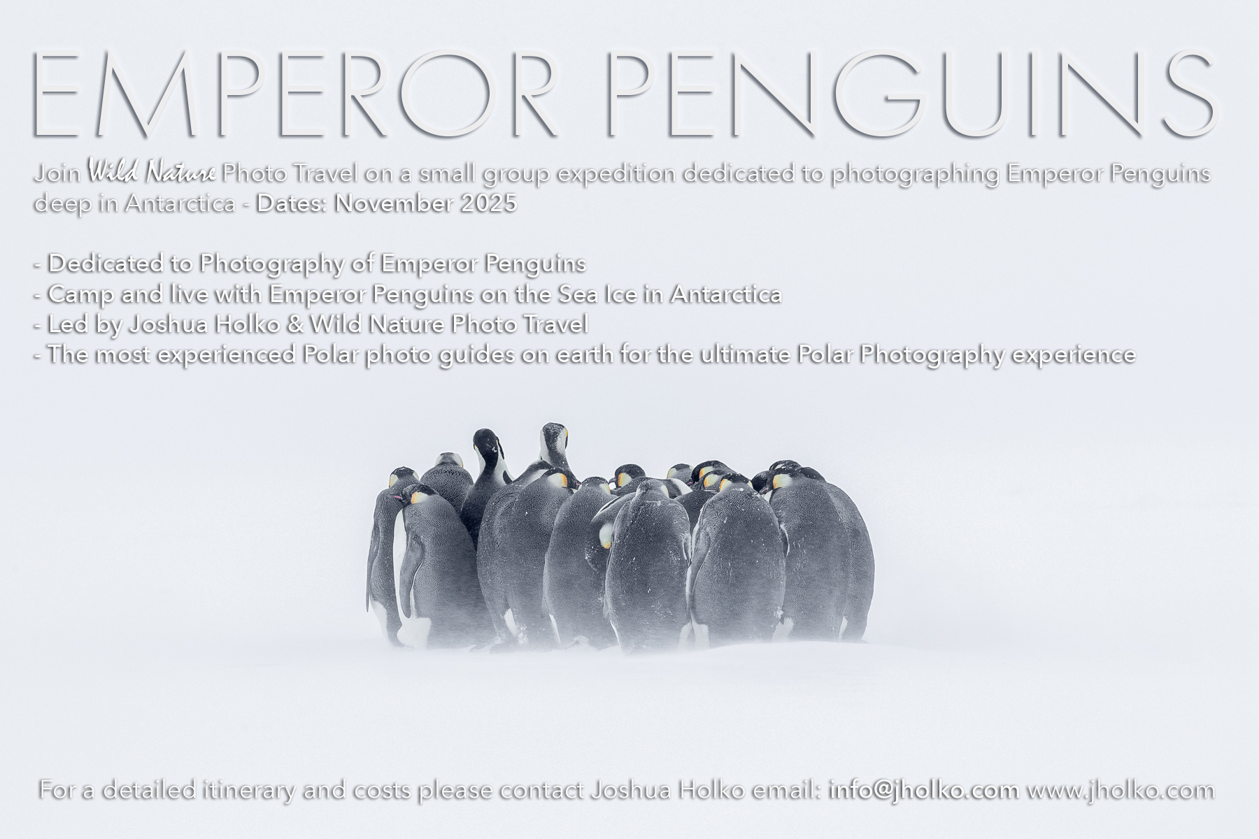 Emperor Penguins of Antarctica Expedition Report December 2024 – www ...