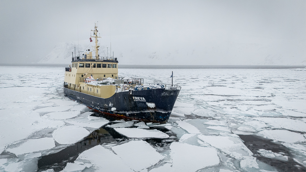 Svalbard Winter Explorer Expedition April 2025 Trip Report – www ...